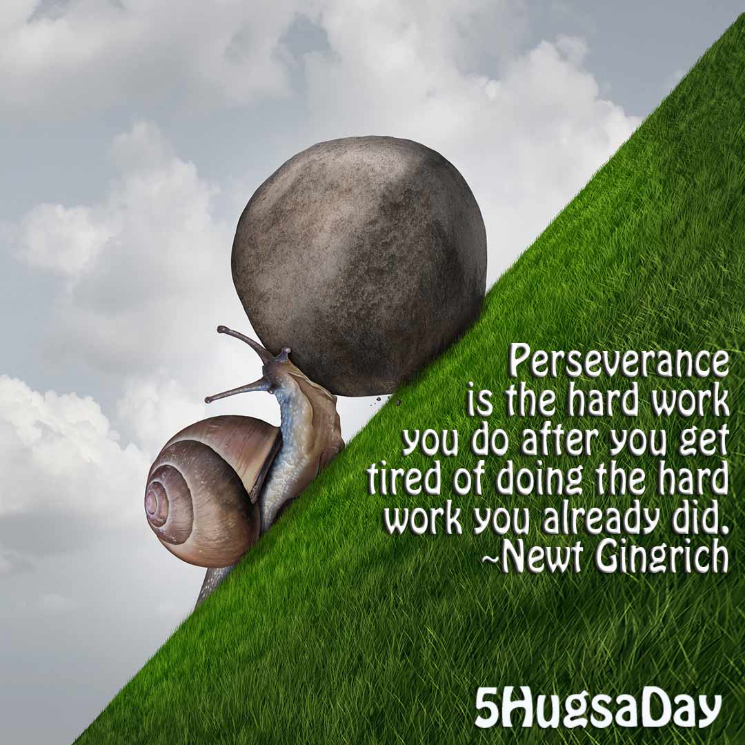 Perseverance Is The Hard Work You Do perseverance-is-the-hard-work-you-do